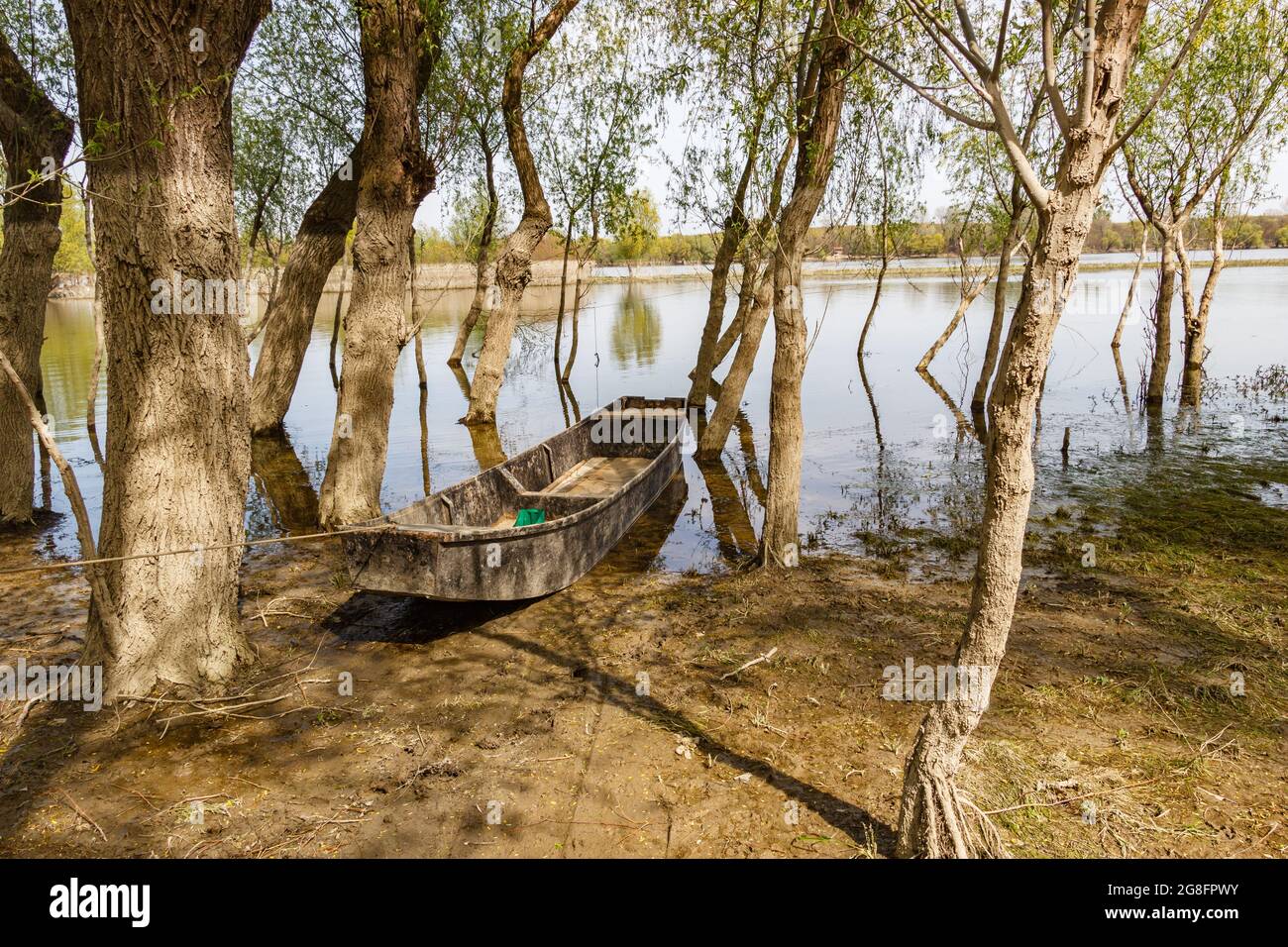 Boat by the lake with trees around Stock Photo - Alamy