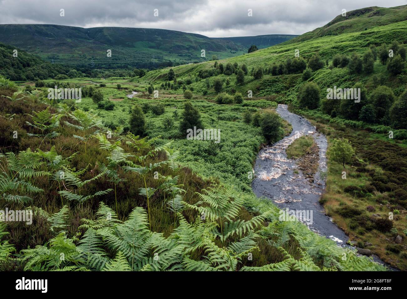 Crowden Great Brook and view towards Longdendale, Peak District ...