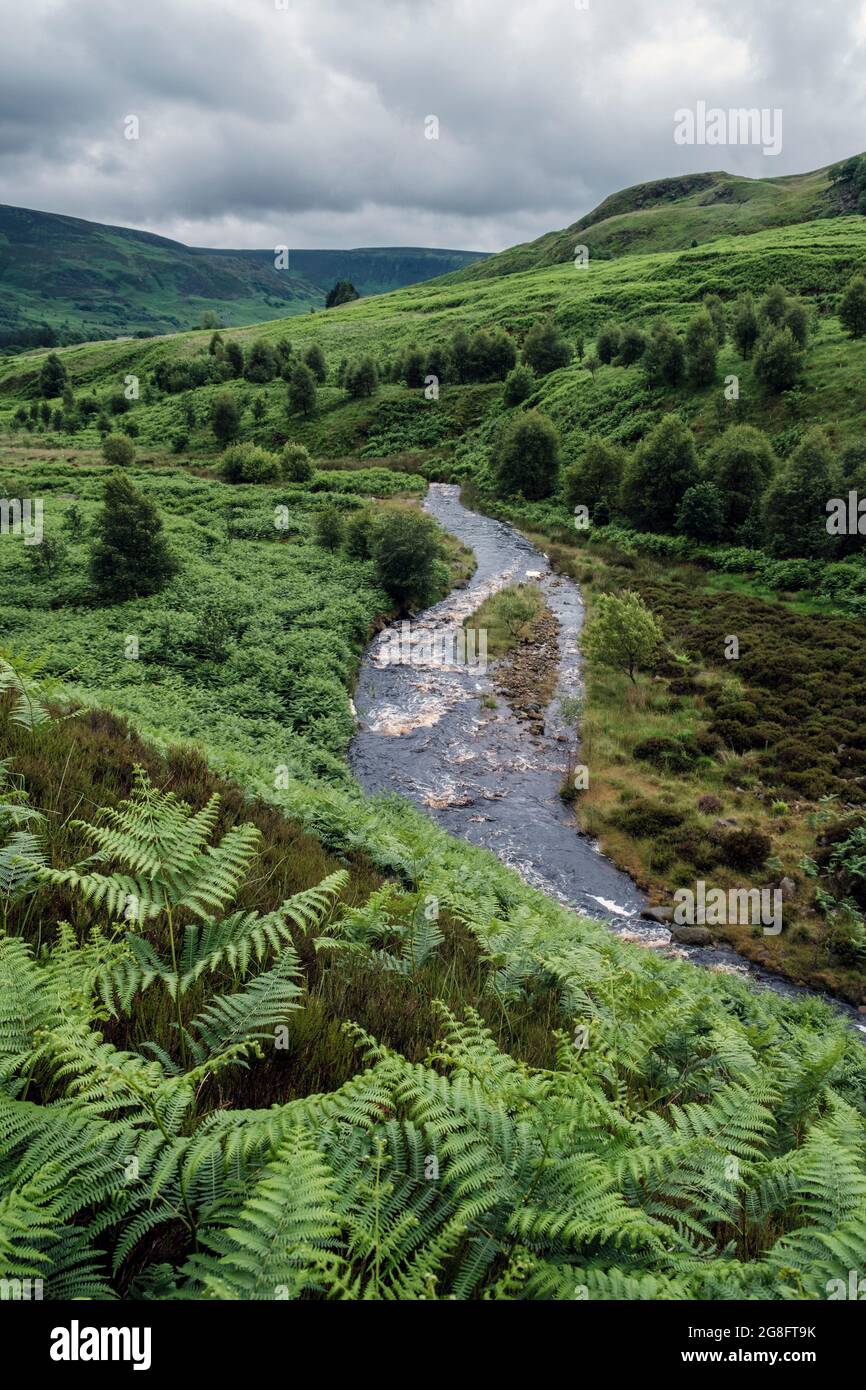 Crowden great brook valley hi-res stock photography and images - Alamy