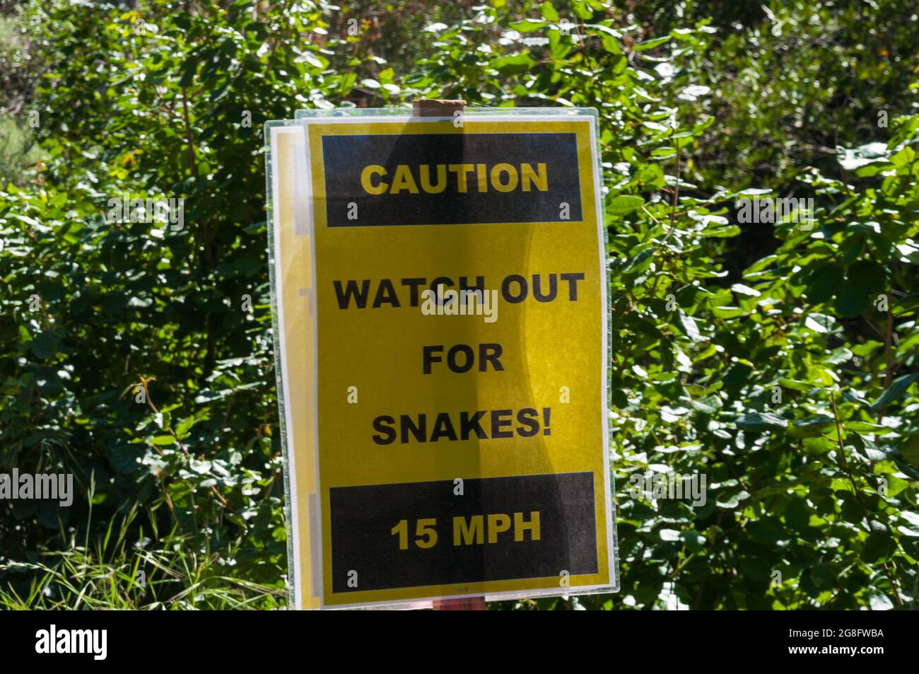 Warning sign for snakes - to be aware Stock Photo - Alamy