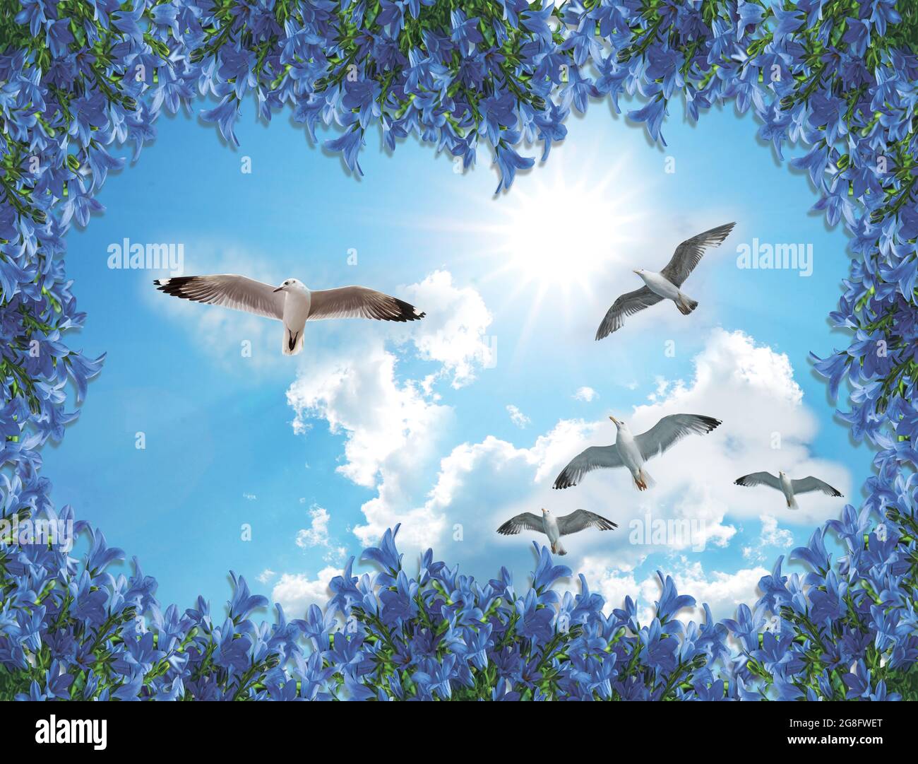 3d background, Blue sky flying seagull Stock Photo - Alamy
