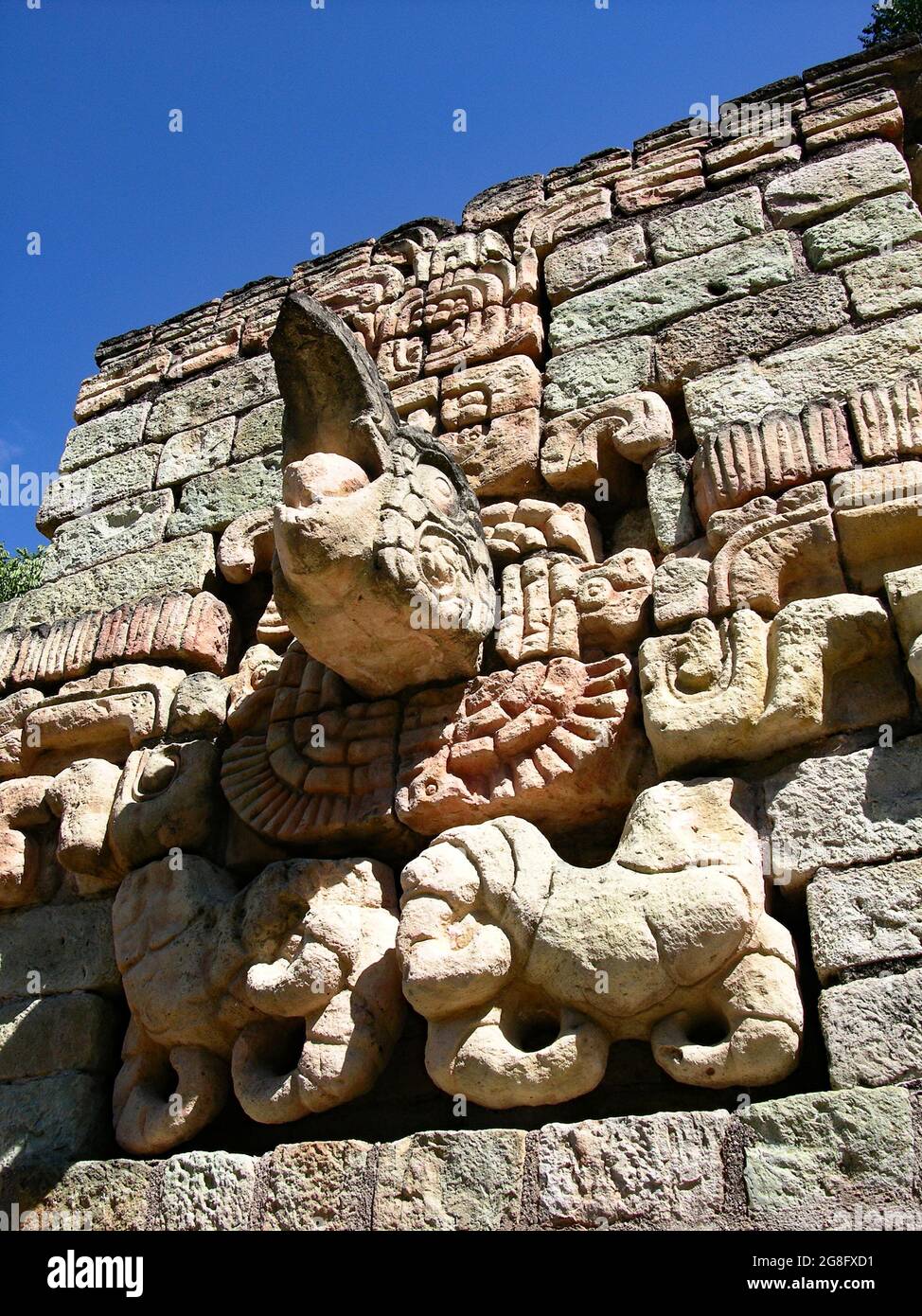 Copán Ruins, Honduras Stock Photo - Alamy