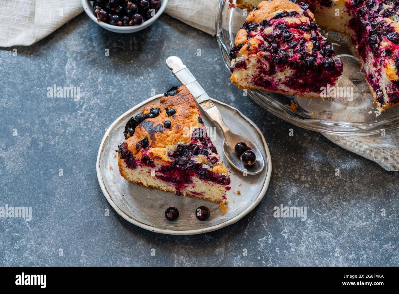 Black currant sponge cake Stock Photo - Alamy