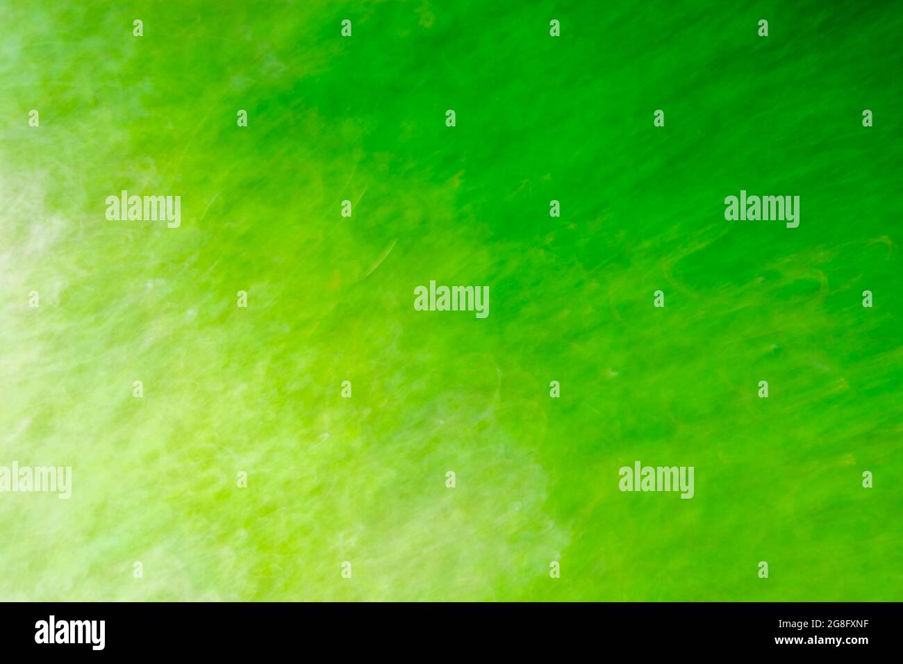 Bright green gradient, acidic background with spots and wavy lines ...