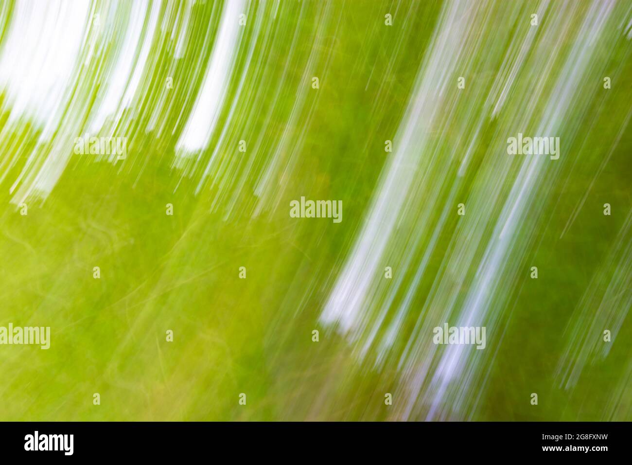 Faded light green abstract background with vertical highlights and ...