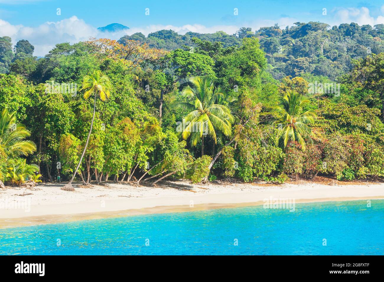 Tropical Beach Costa Rica Playa Cocles Beautiful Tropical Beach