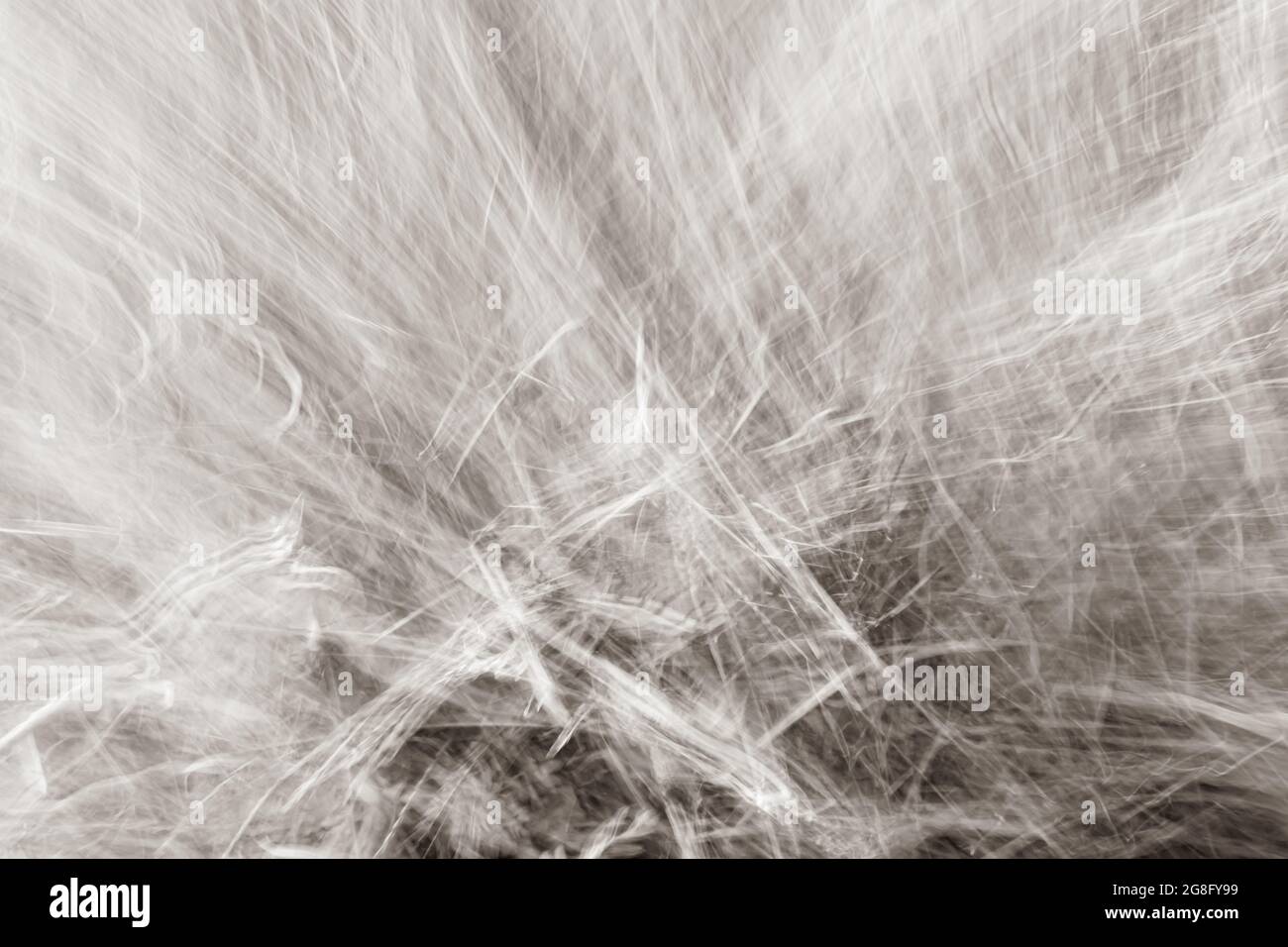 Abstract gray-beige-brown background of cobwebs, curved lines and ...