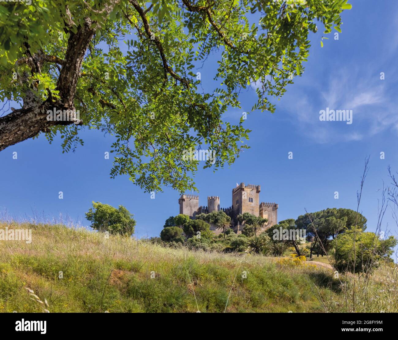 Almodovar hi-res stock photography and images - Alamy