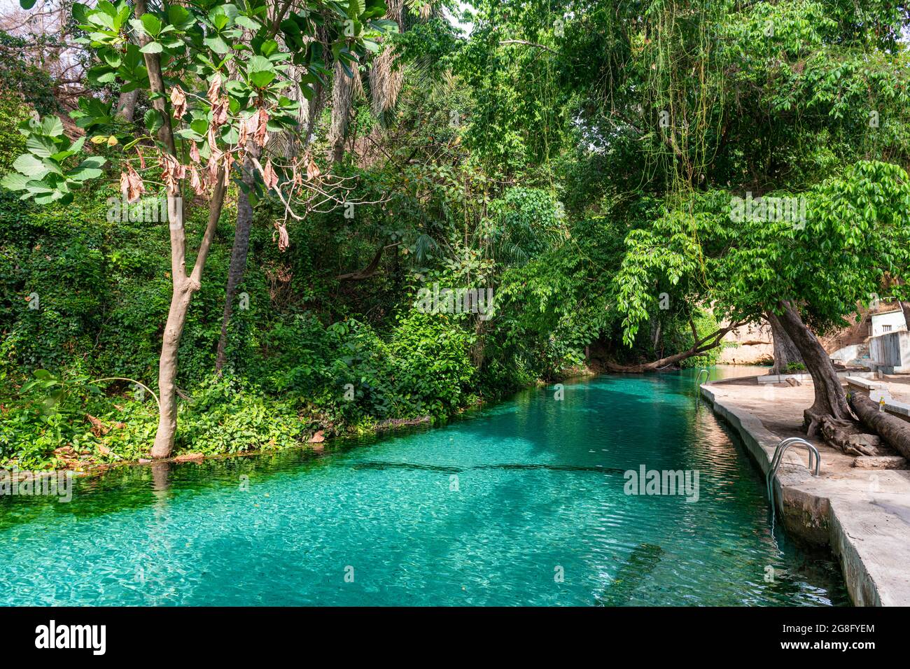 Yankari national park hi-res stock photography and images - Alamy