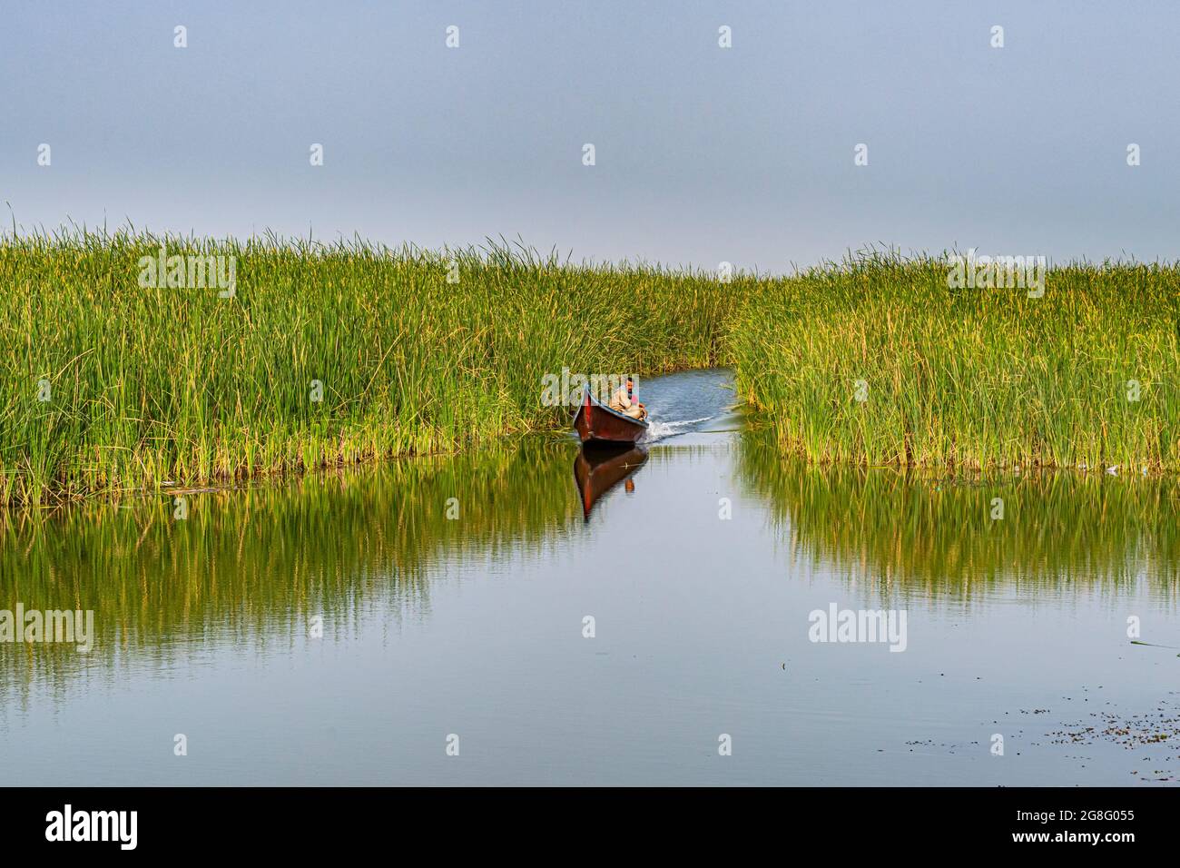 Little boat in the Mesopotamian Marshes, The Ahwar of Southern Iraq ...