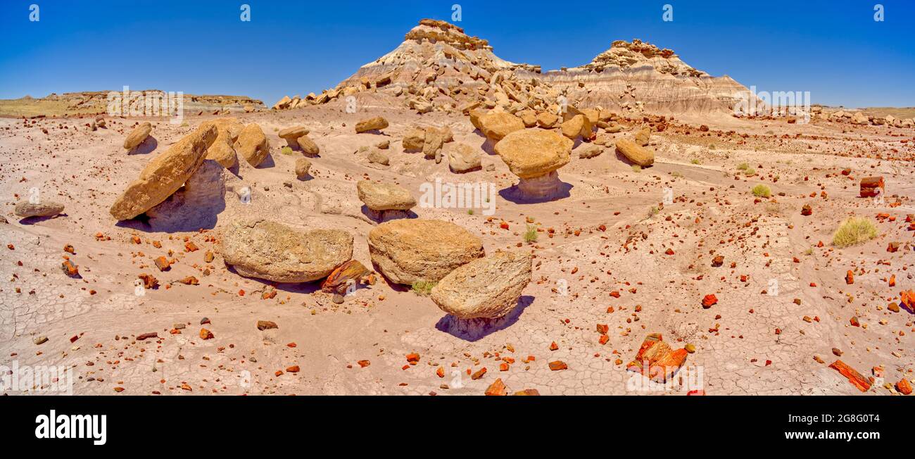 Keyhole garden hi-res stock photography and images - Alamy