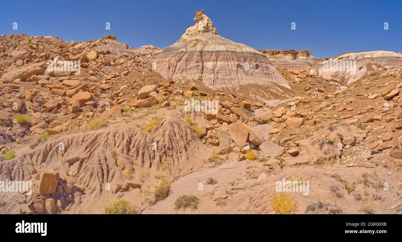 A rock hoodoo shaped like a horse head, along the base of Blue Mesa in ...