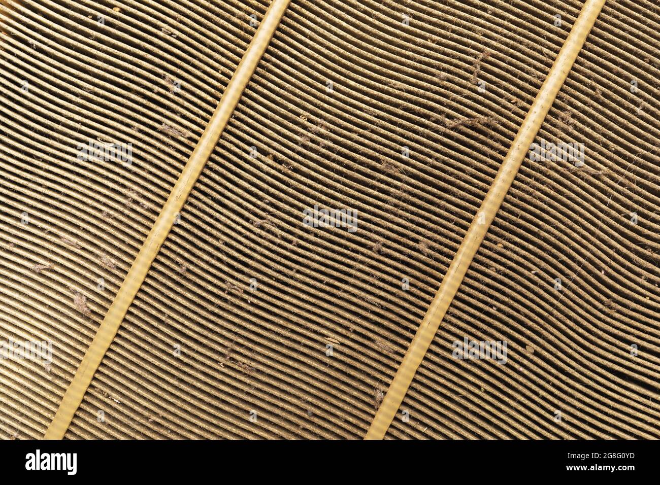 Air filter texture hi-res stock photography and images - Alamy