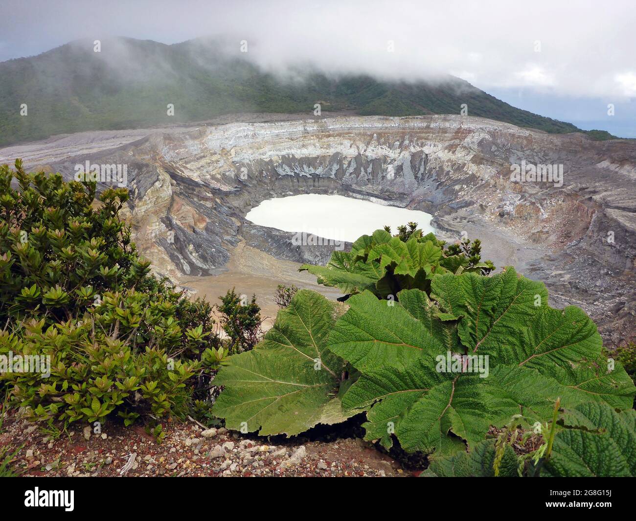 Parque Nacional Volcán Poas, Costa Rica Stock Photo - Alamy
