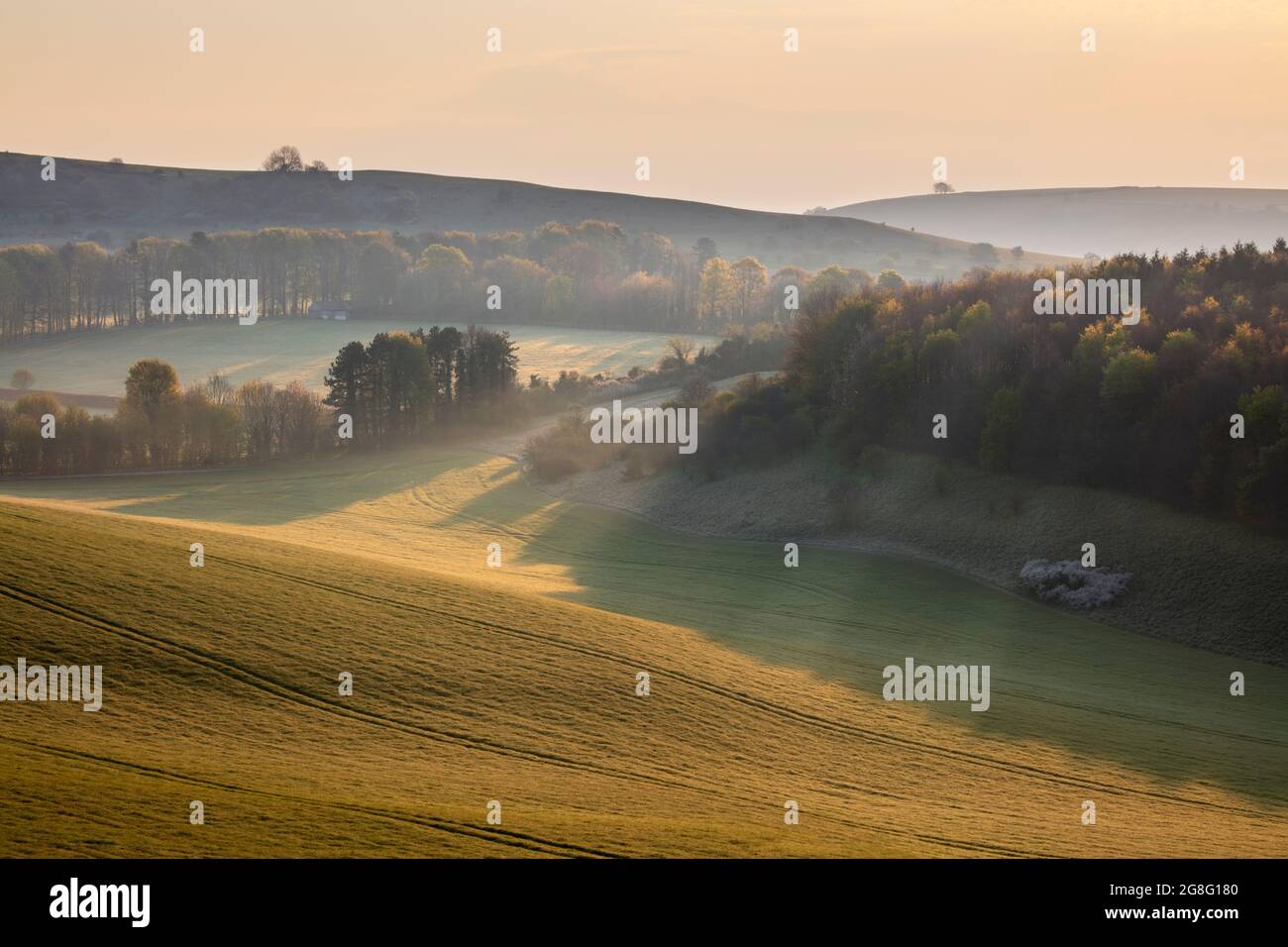 Misty landscape with Beacon Hill and Ladle Hill, Highclere, North ...