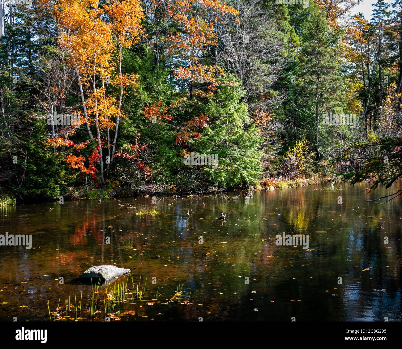 Shubenacadie canal park hi-res stock photography and images - Alamy