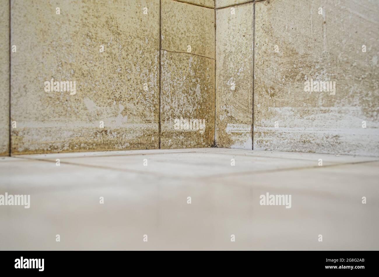Closeup shot of dirt on floors, walls, and corners of bathroom tiles ...