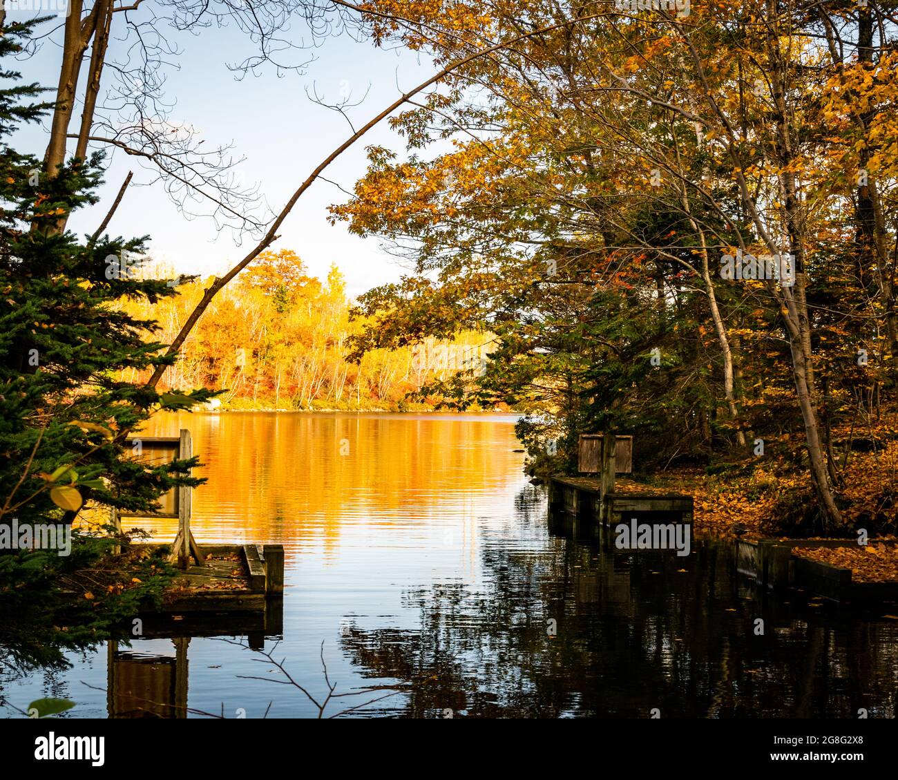 mouth of a river opening into a lake and the gold reflection of trees ...