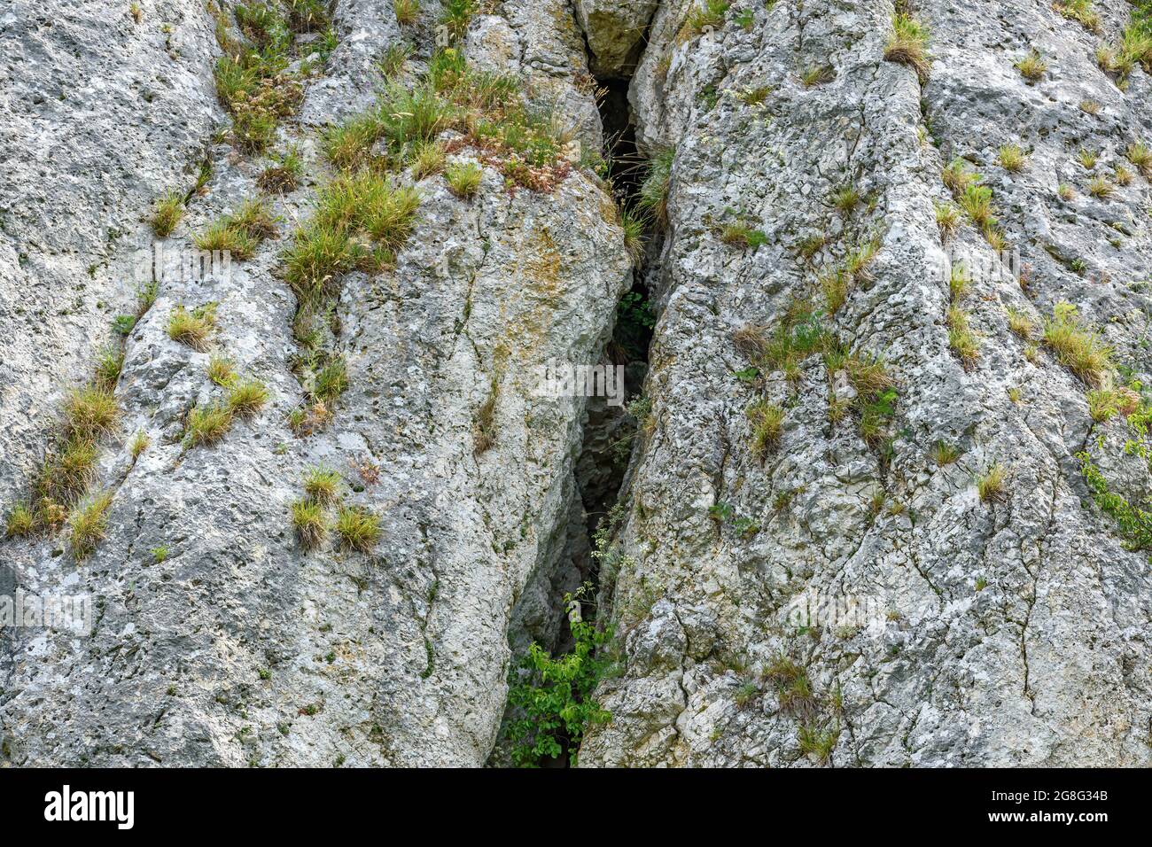 Clay texture textures textured moss hi-res stock photography and images ...