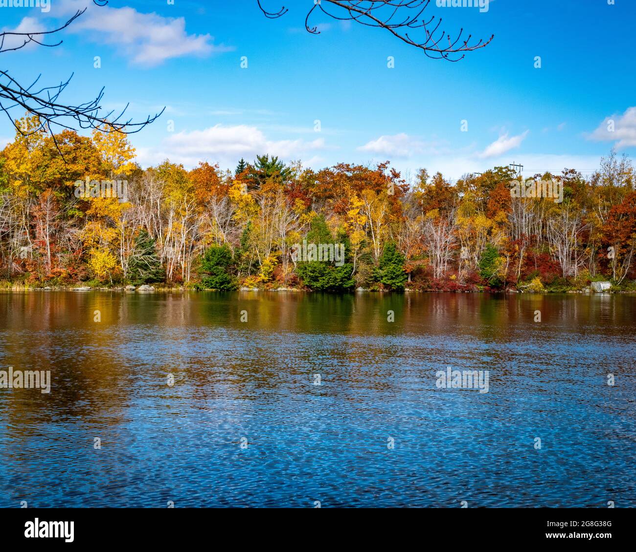 the changing of colours in the fall on the shoreline of a lake Stock ...
