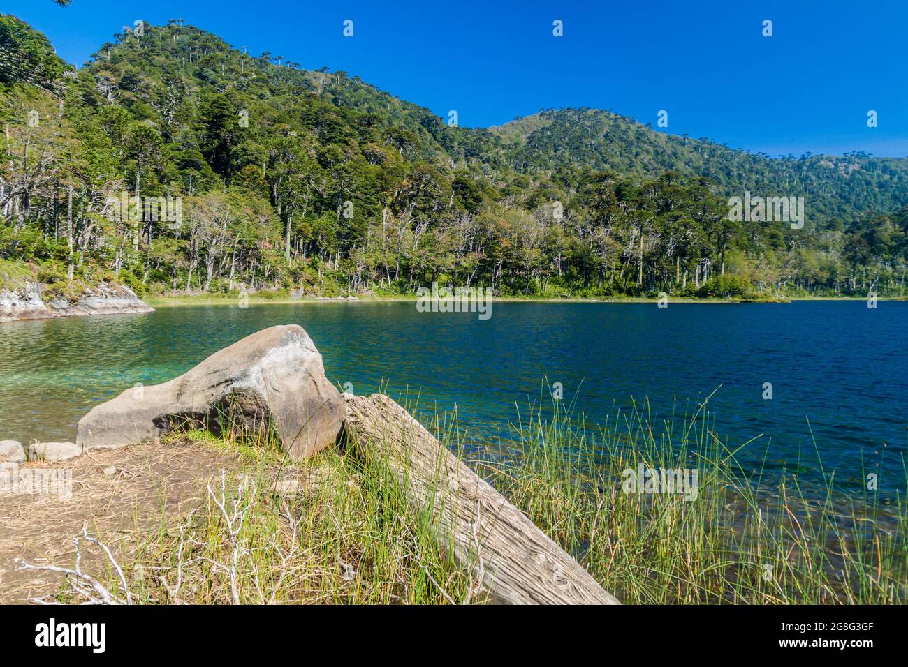 Lago verde chile hi-res stock photography and images - Alamy