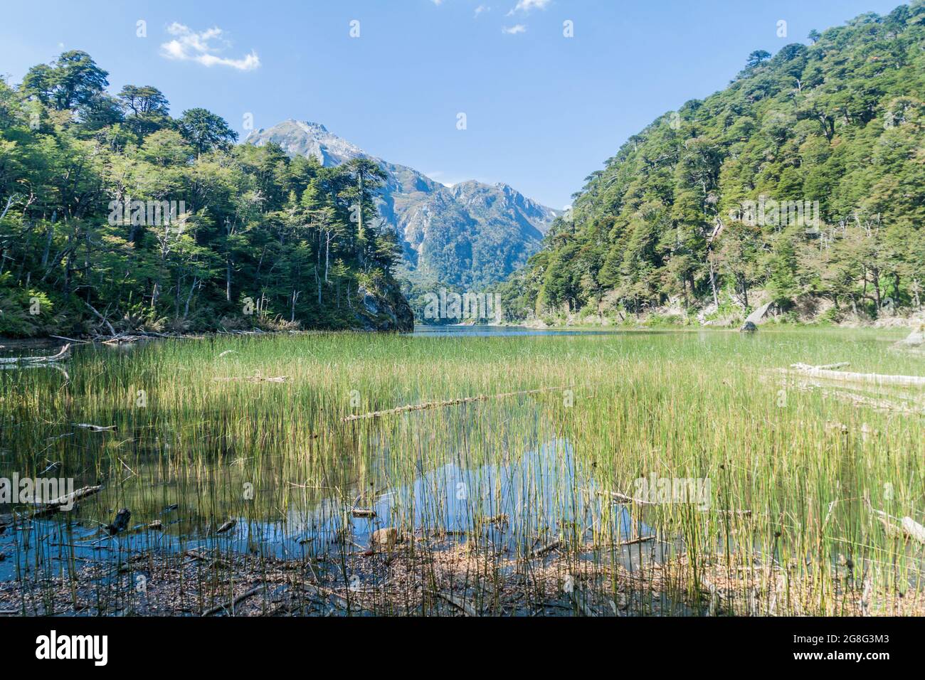 Laguna Toro lake in National Park Huerquehue, Chile Stock Photo - Alamy