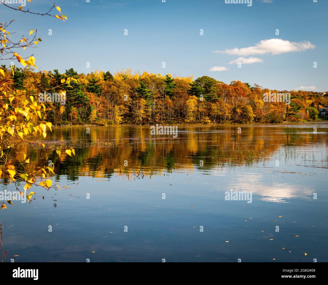 Trees reflecting off the lake hi-res stock photography and images - Alamy