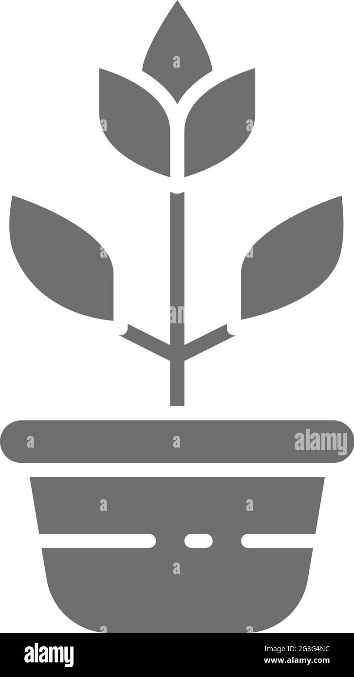 Gray plant pot Black and White Stock Photos & Images - Alamy