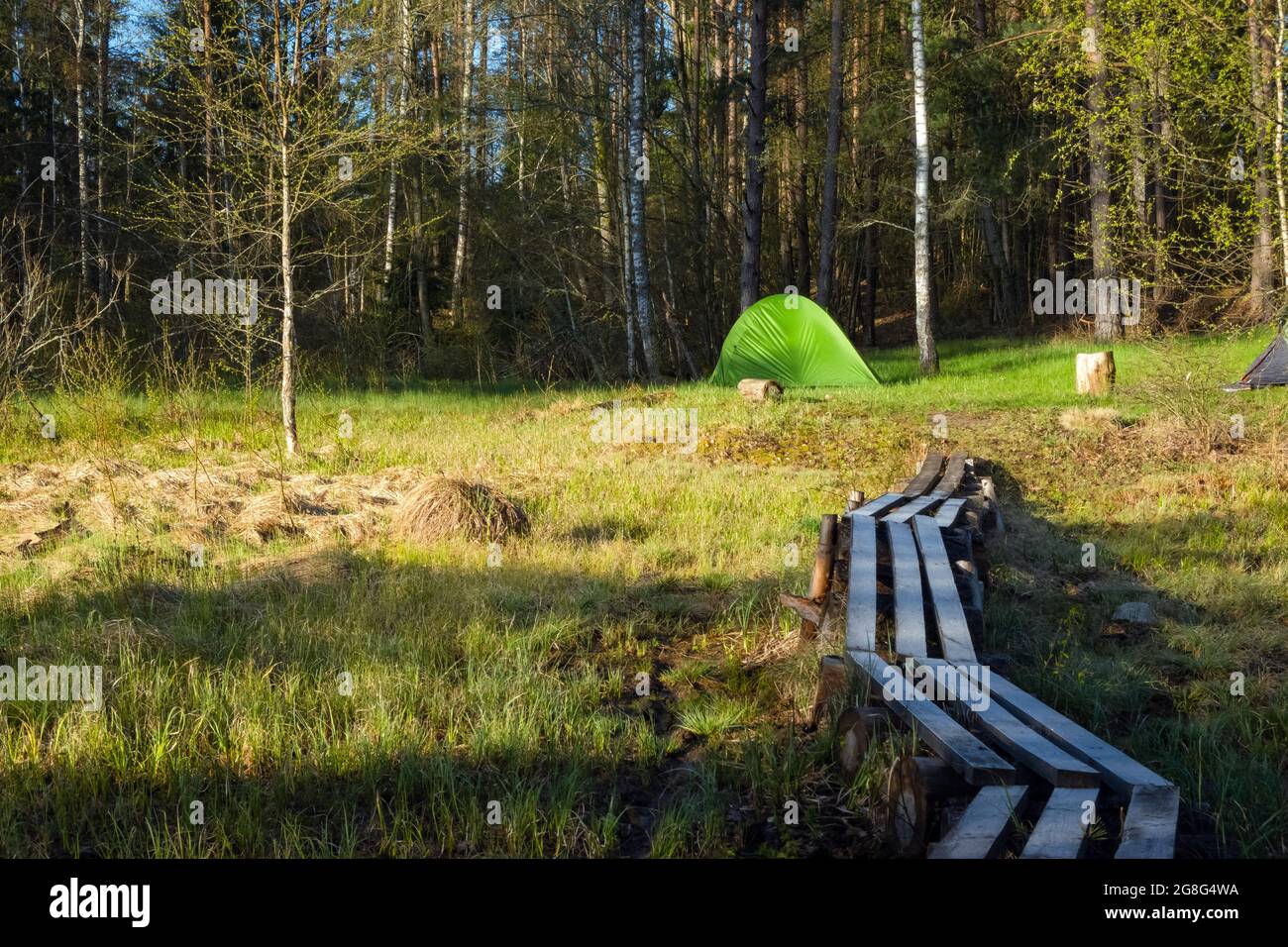 Camping tent set up near the lake in the forest. Relaxing in a camp ...