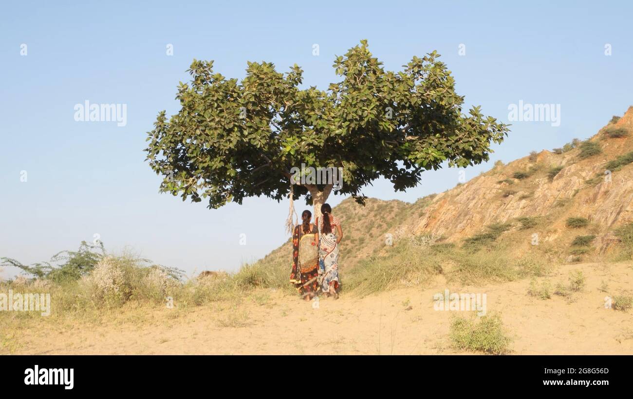 Warm sunny day with two Indian women standing in front of a tree with ...