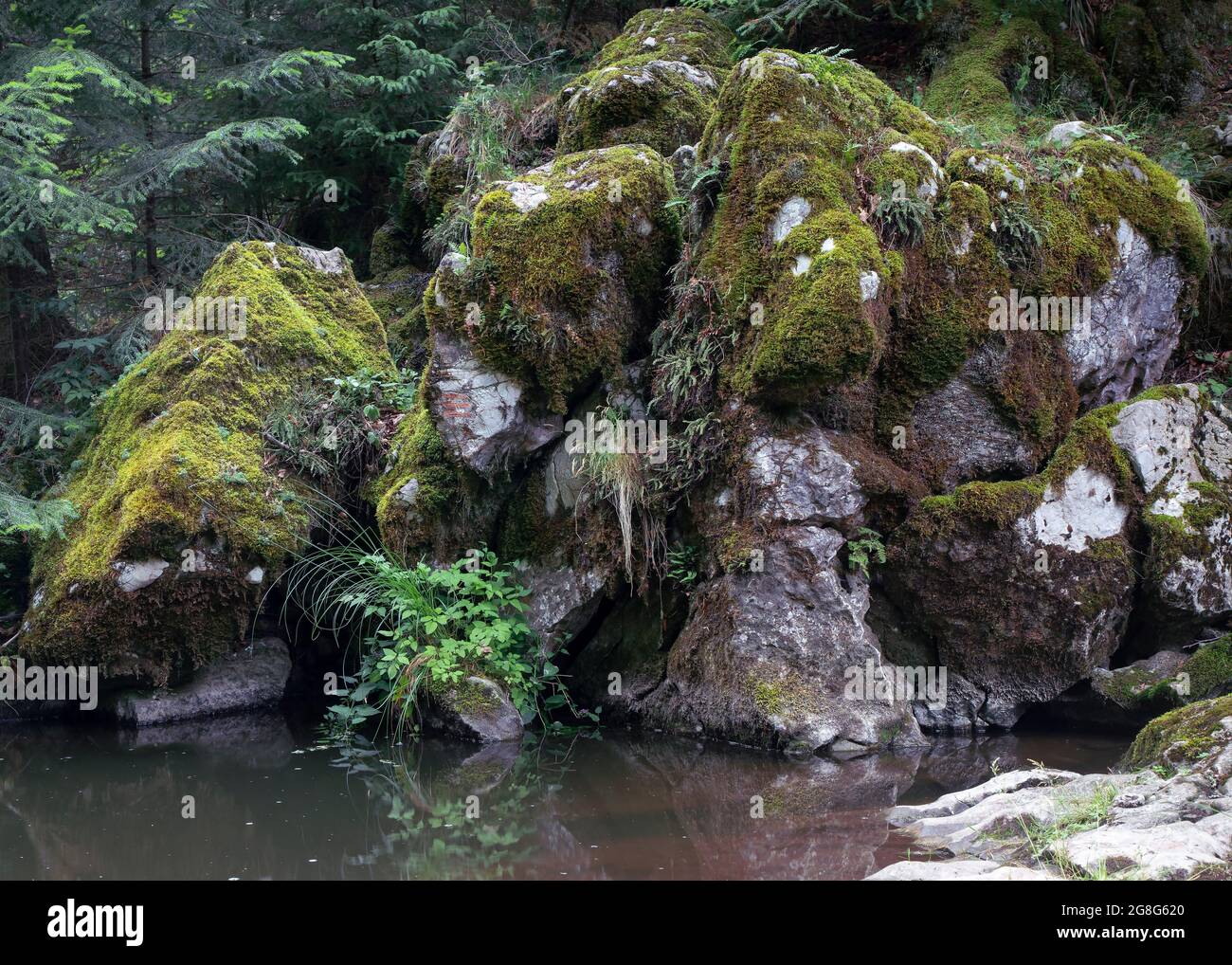Mossy rock texture hi-res stock photography and images - Alamy