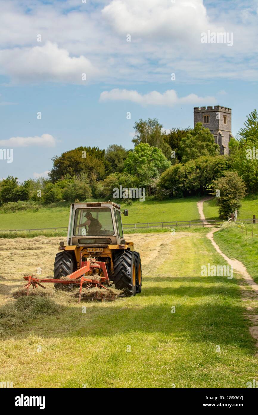 Haymaking with machines in a semi-urban farm, bright sunshine, blue sky ...