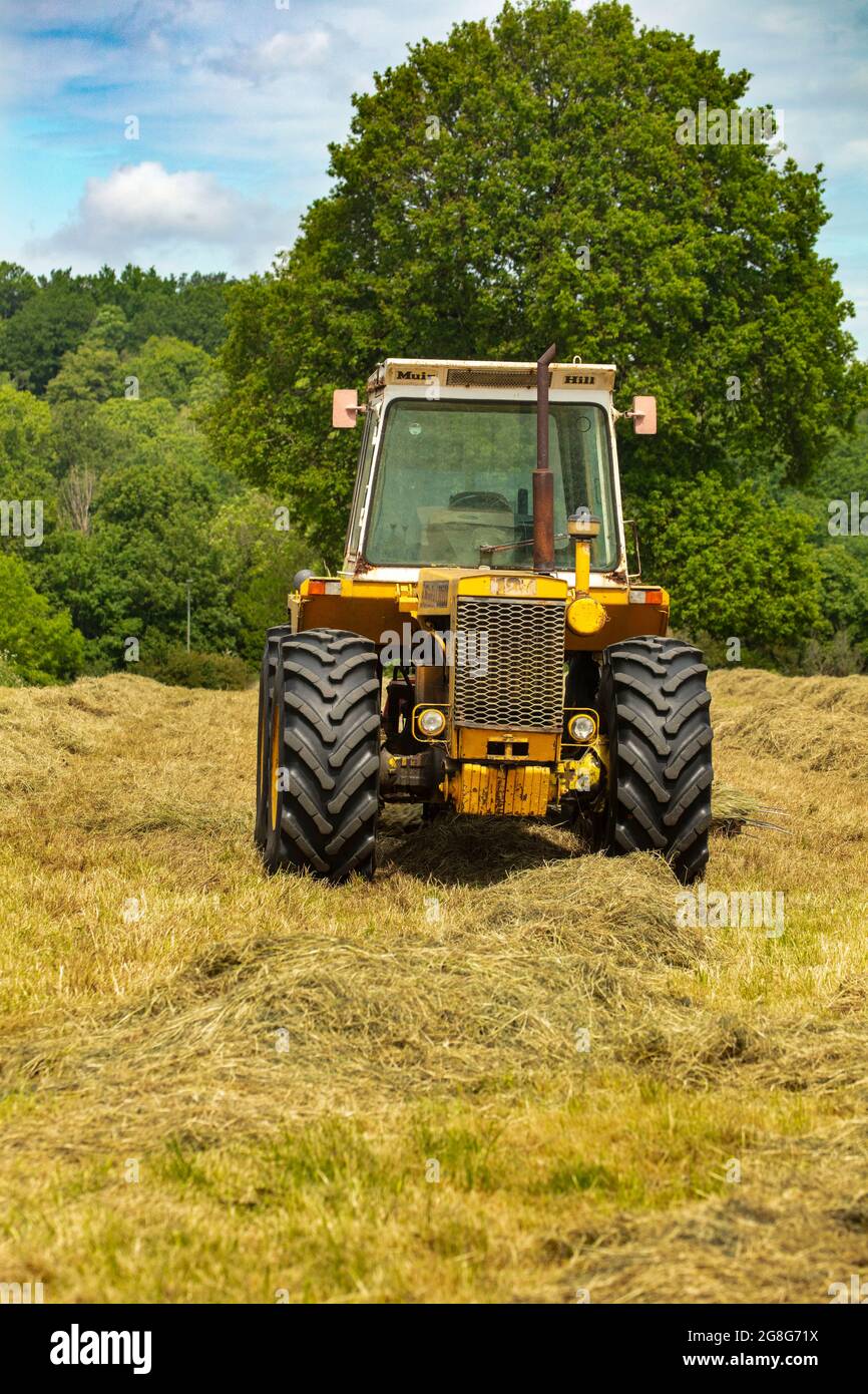 Haymaking with machines in a semi-urban farm, bright sunshine, blue sky ...
