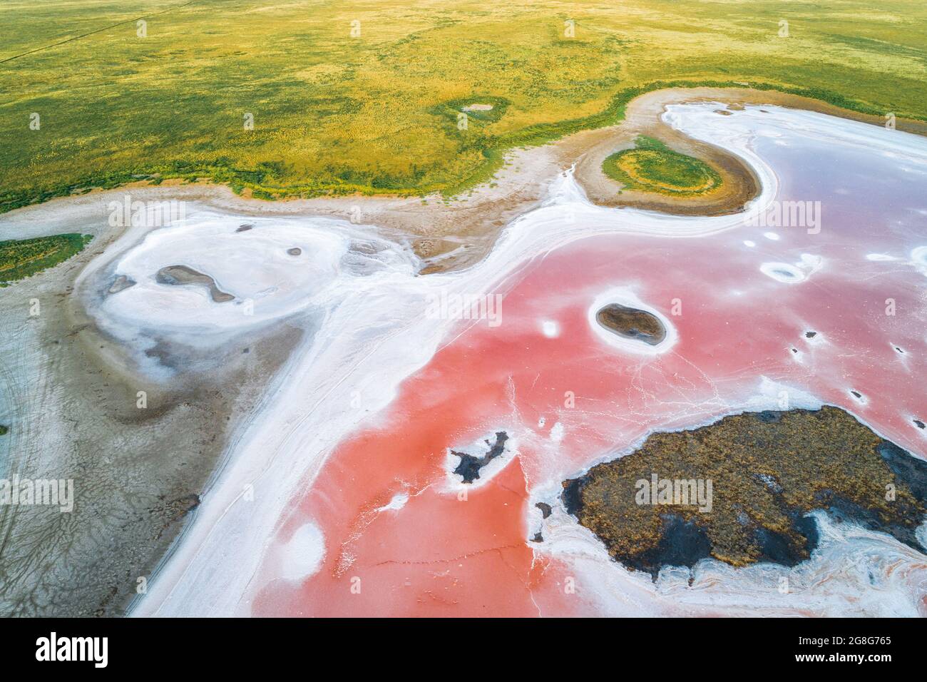 Pink lake in Kalmykia. Pink and white salt on a salt marsh. Incredible ...