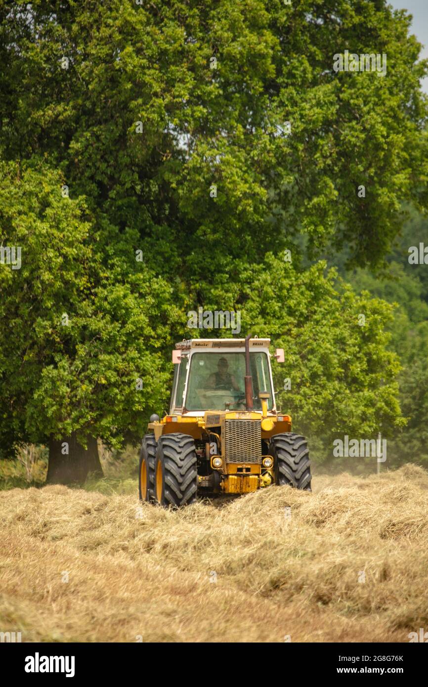 Haymaking with machines in a semi-urban farm, bright sunshine, blue sky ...