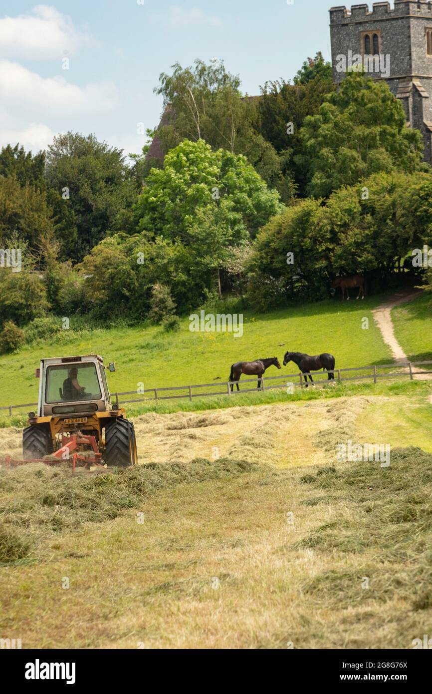Haymaking with machines in a semi-urban farm, bright sunshine, blue sky ...