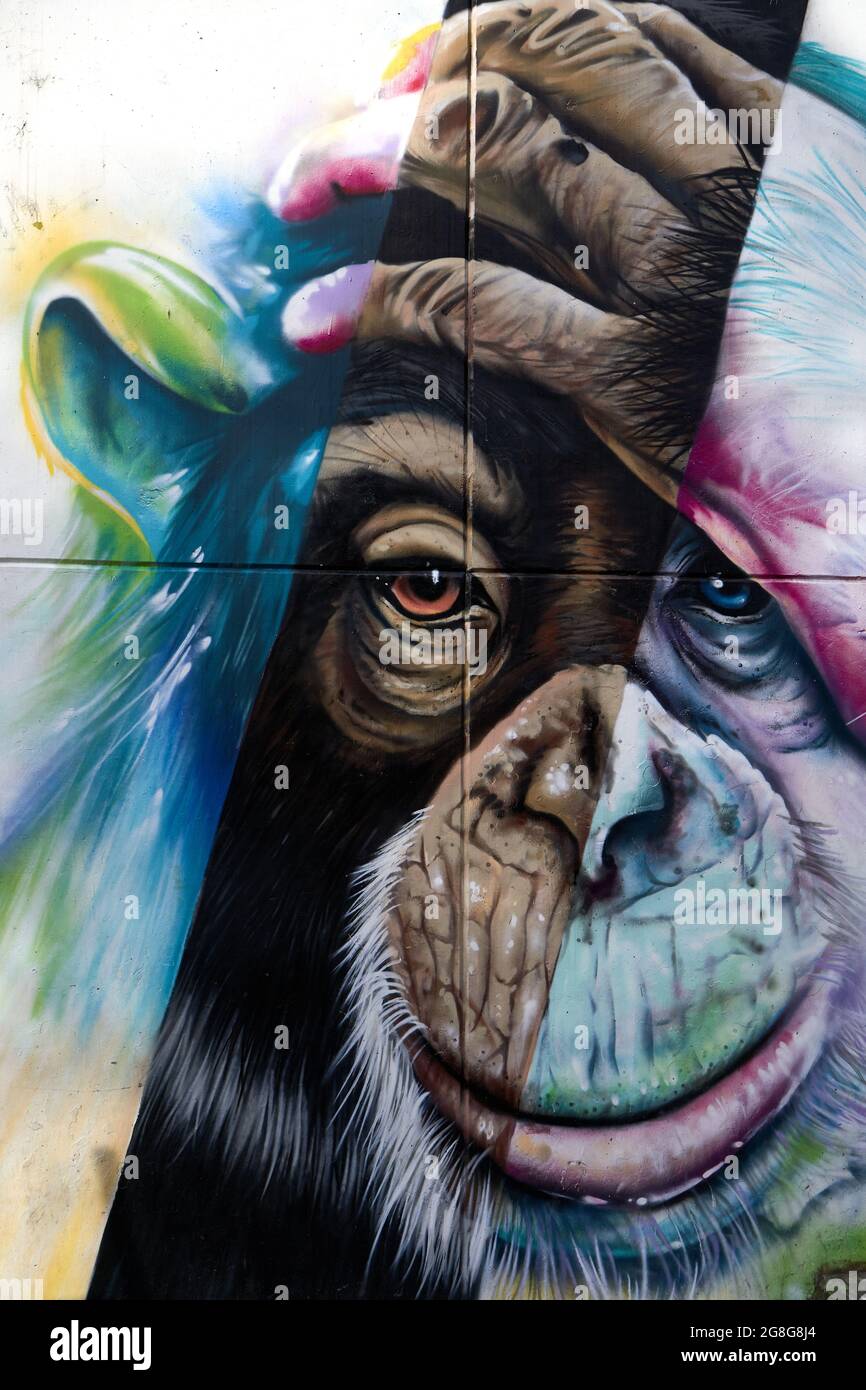 Ape graffiti hi-res stock photography and images - Alamy