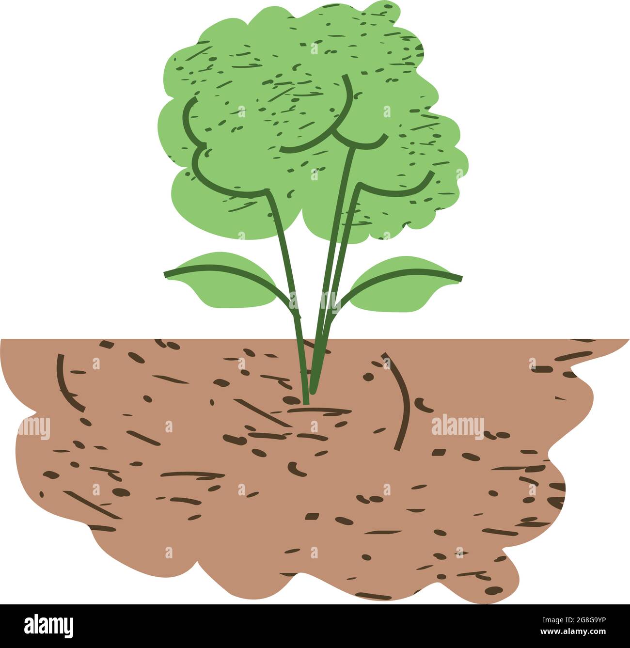 Wet soil plant Stock Vector Images - Alamy
