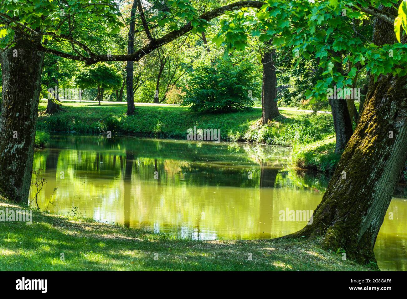 Summer Park Landscape, Green Trees and Walkway in the Summer City Park ...
