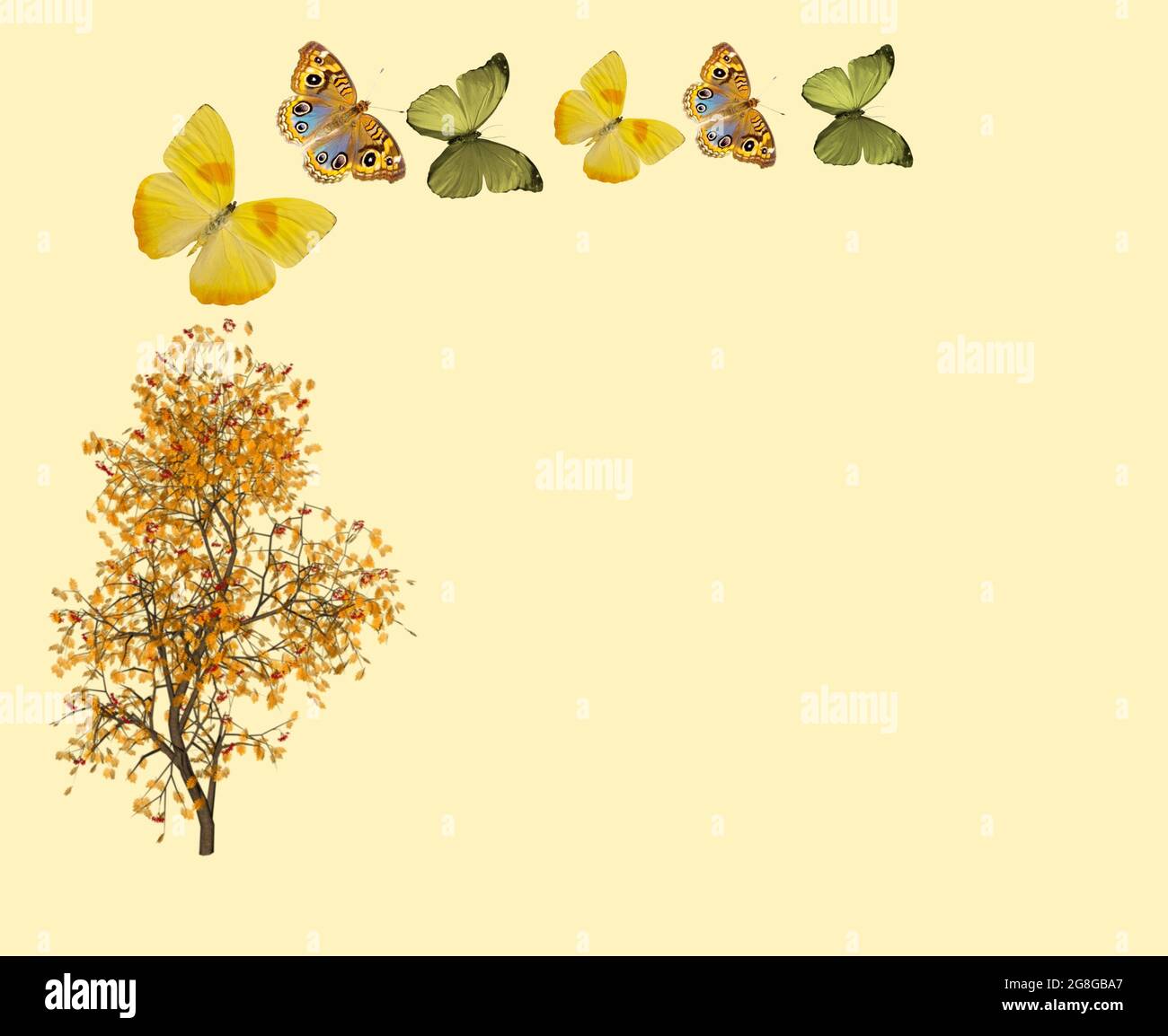 Natural background with butterflies and tree isolated in color ...