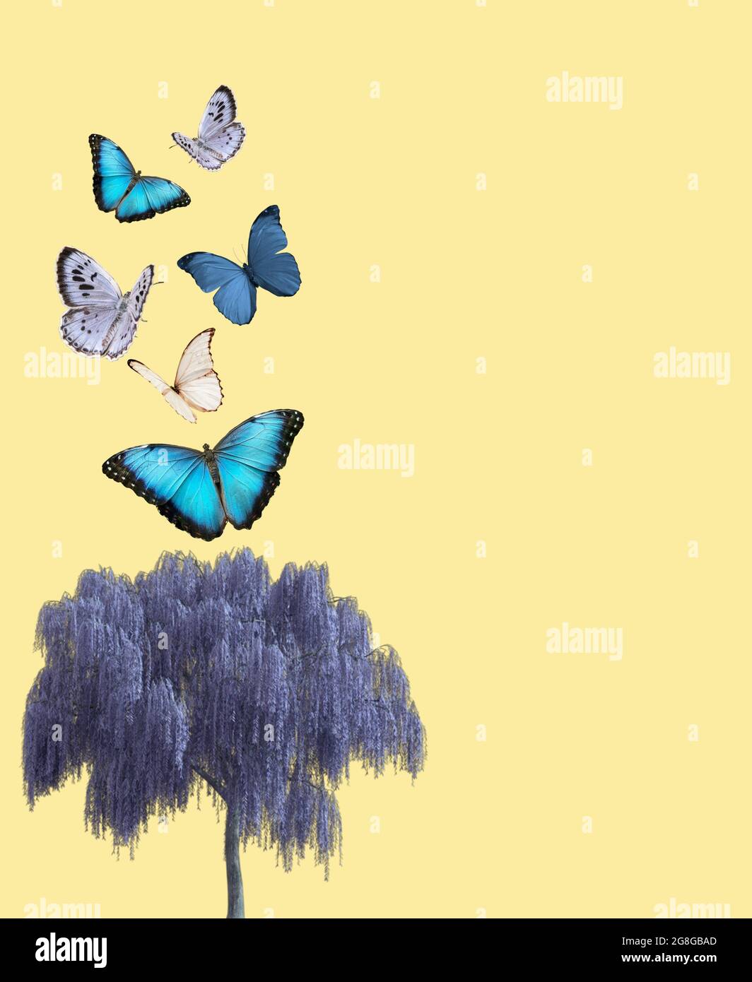 Natural background with butterflies and tree isolated in color ...