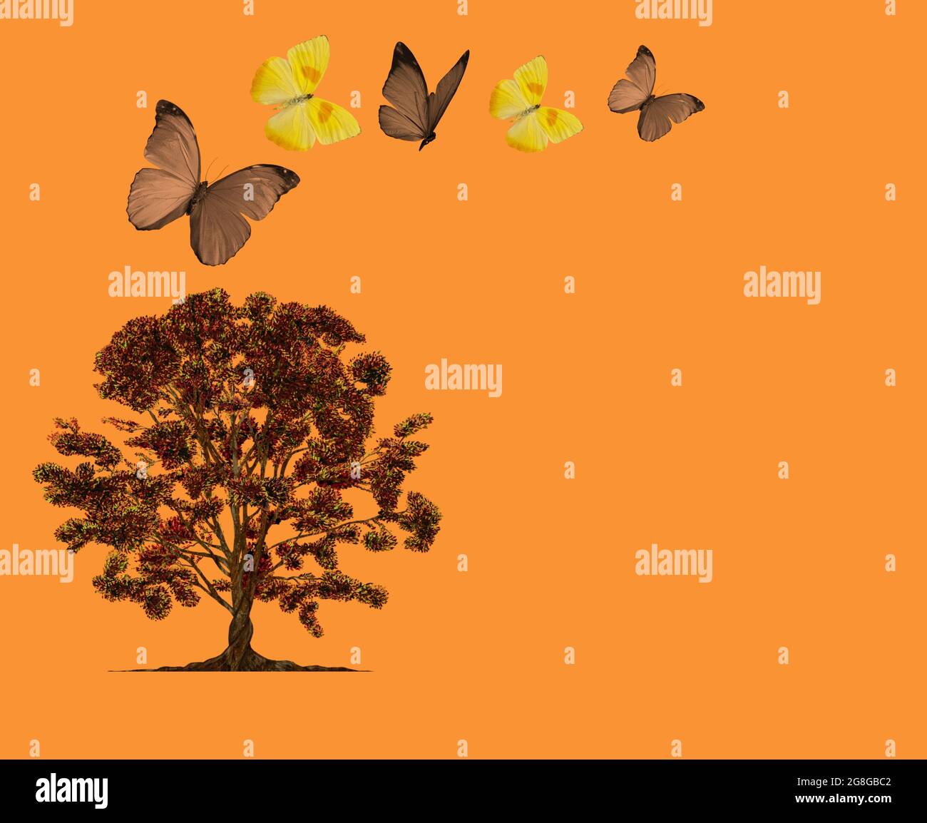Natural background with butterflies and tree isolated in color ...