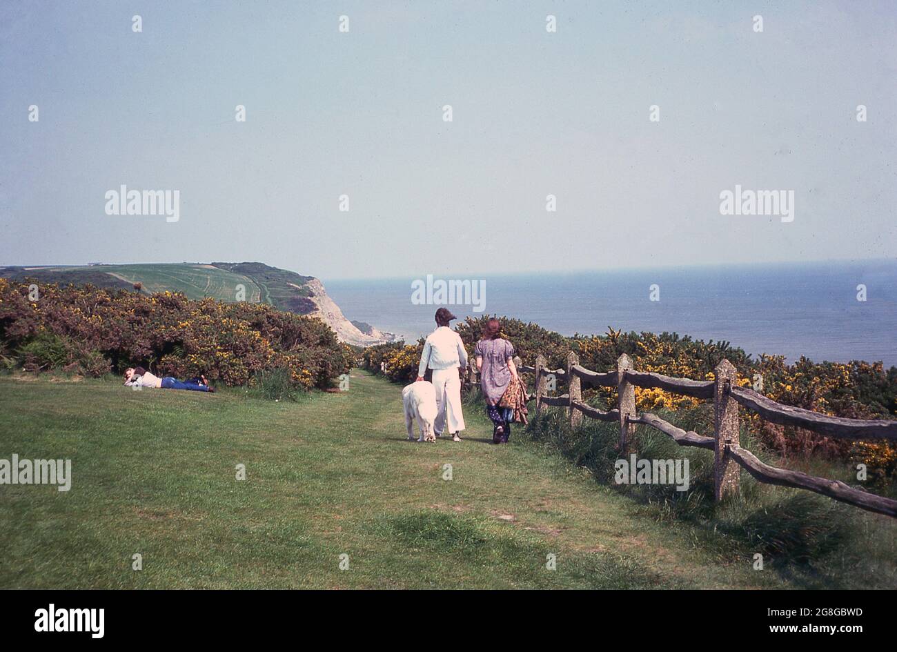 Walking dog 1970s uk hi-res stock photography and images - Alamy