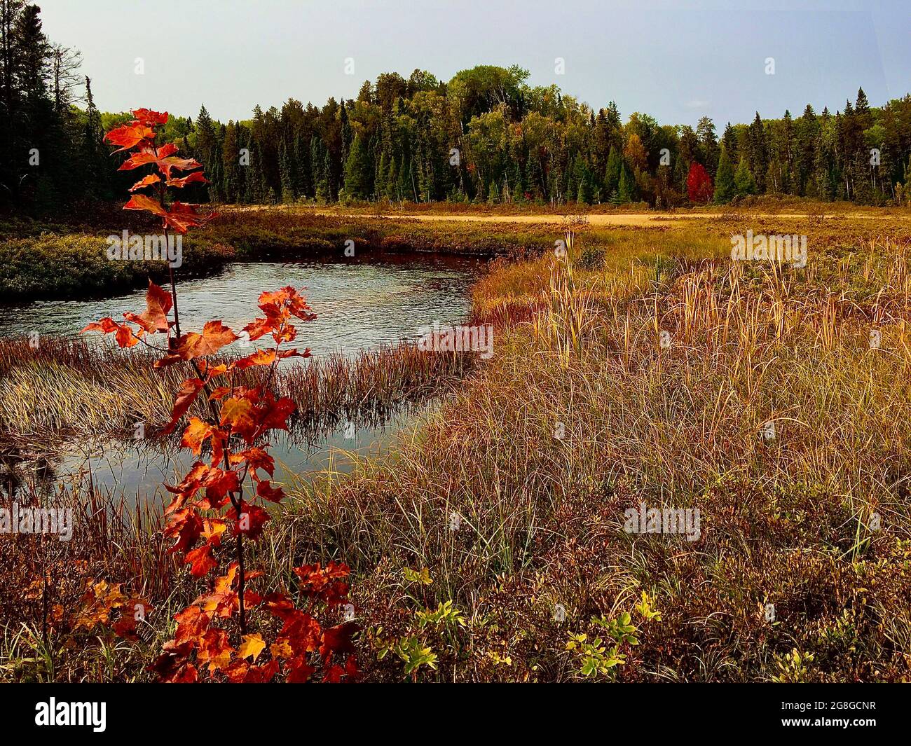slow river field trees Stock Photo - Alamy