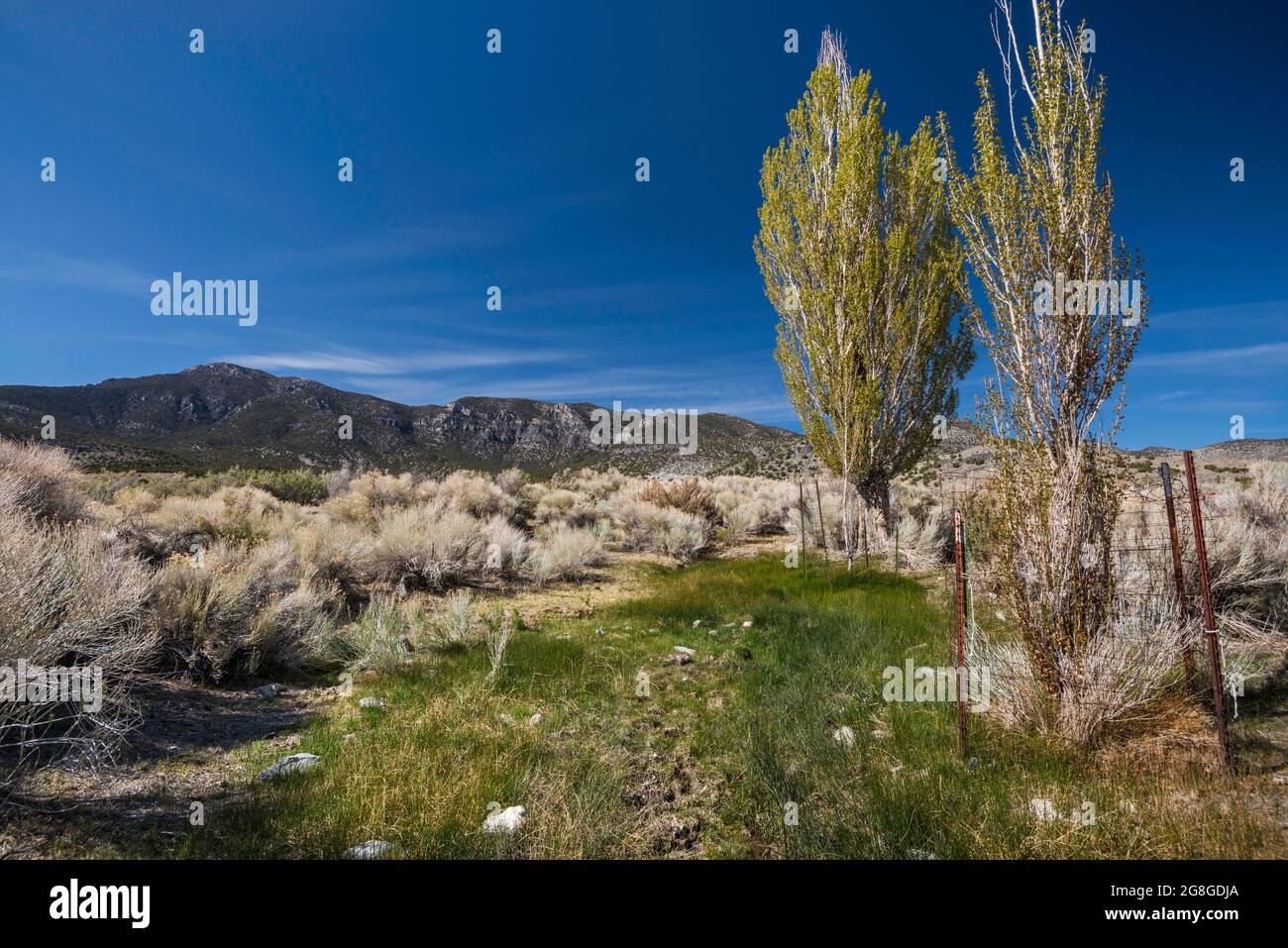 Semi desert climate hi-res stock photography and images - Alamy