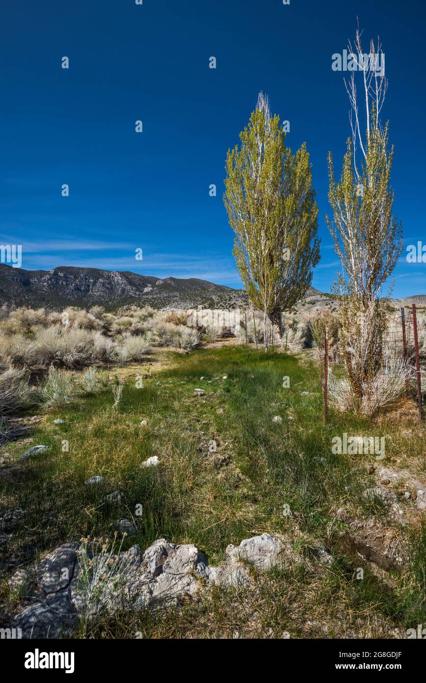 Semi desert shrub steppe hi-res stock photography and images - Alamy