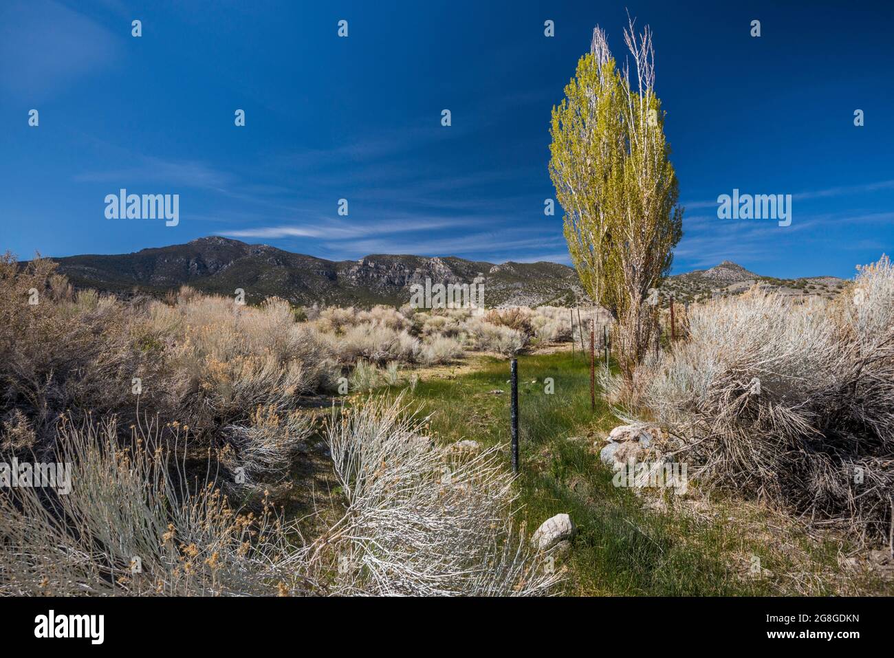 Semi desert climate hi-res stock photography and images - Alamy