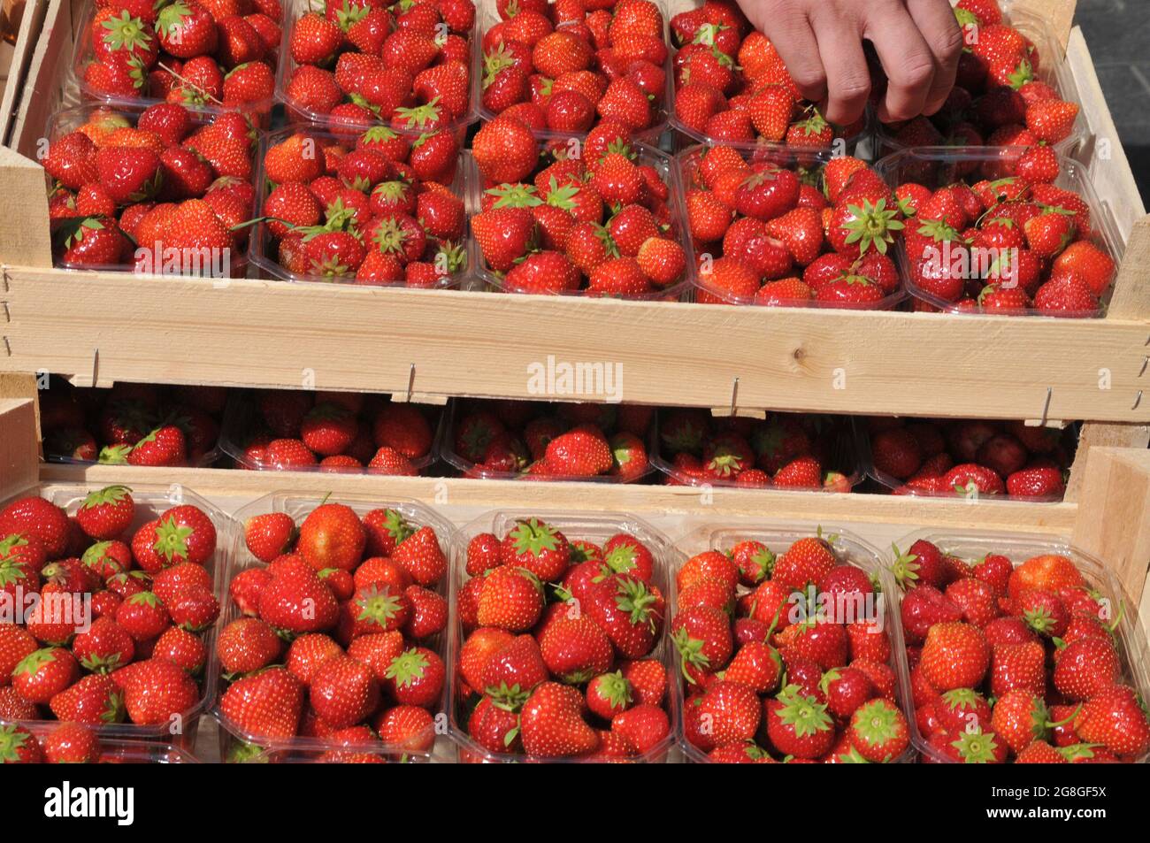 Copenhagen, Denmark.20 July 2021,Strawberry fruit on sale at flowers ...