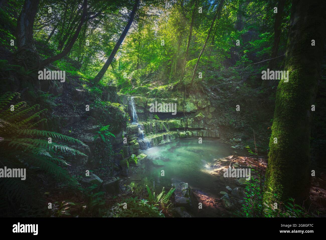 Stream waterfall inside a mediterranean forest and small pool. Chianni ...
