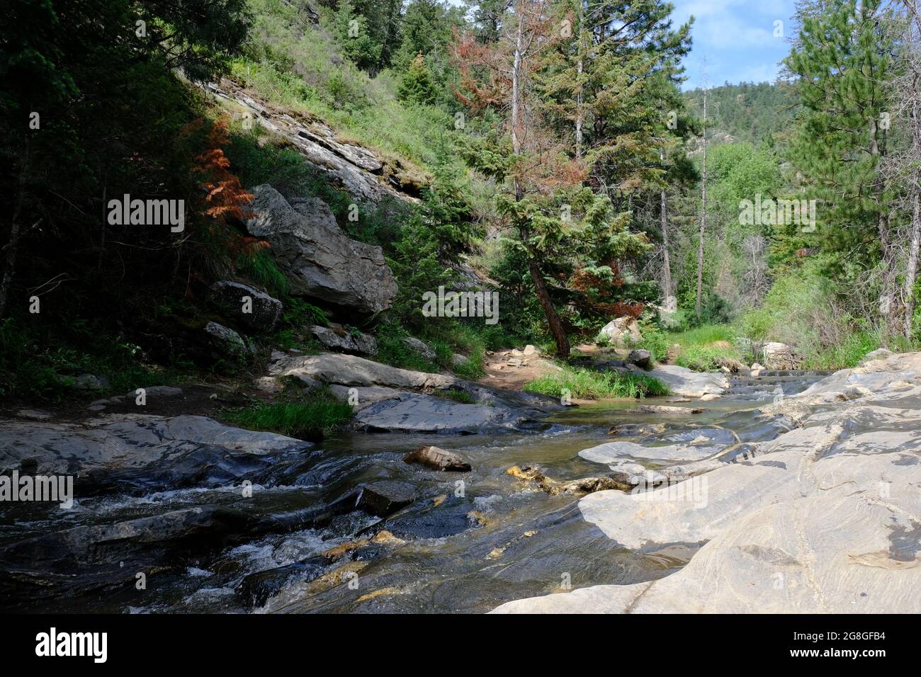 Beaver trail hi-res stock photography and images - Alamy